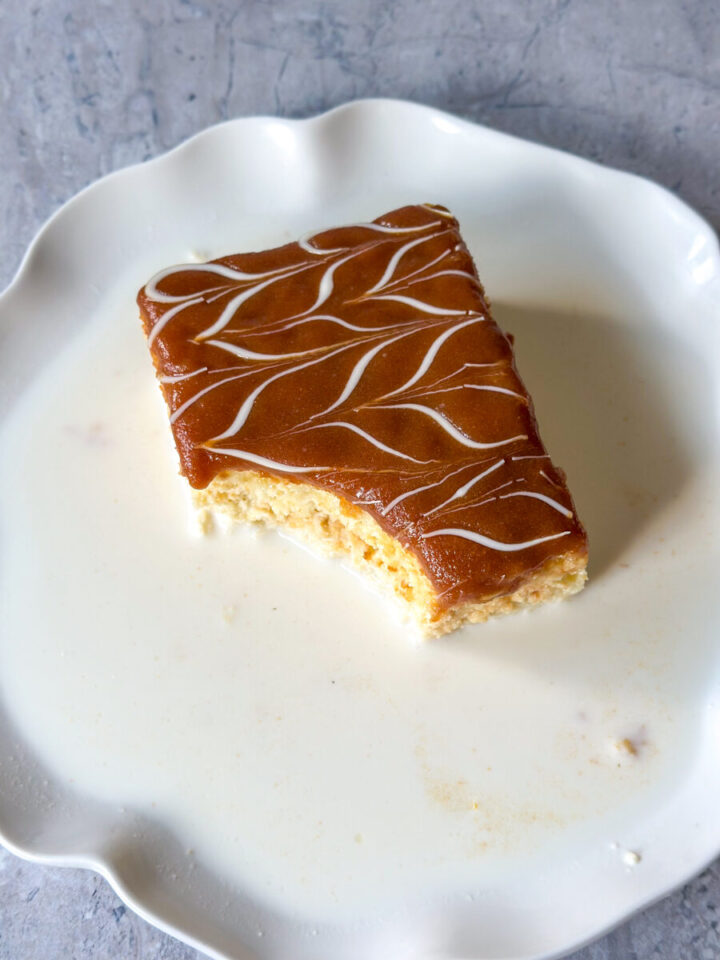Easy Vanilla Milk Cake Recipe (authentic Tres leches) - Maja's Recipes